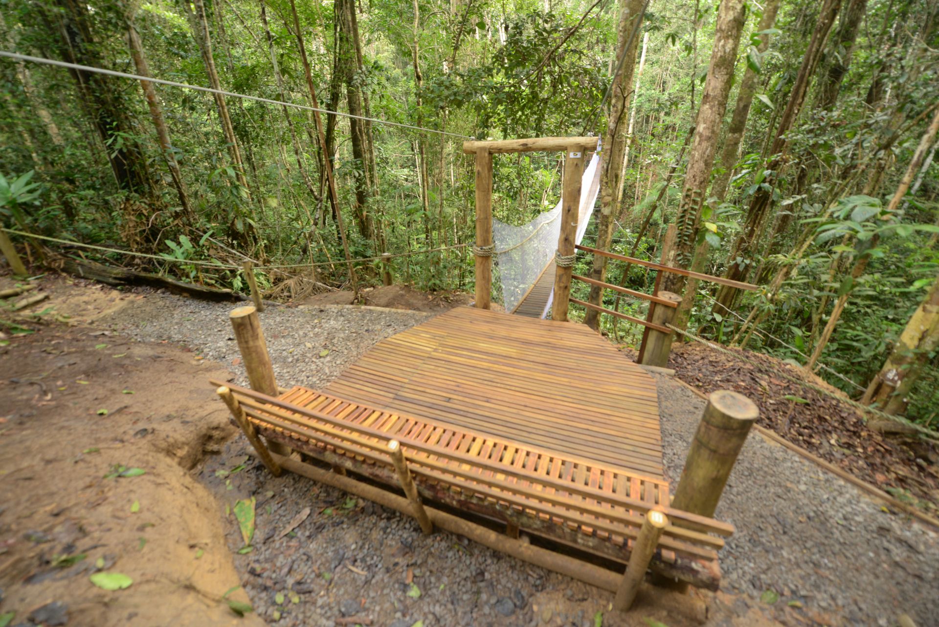 Ponte Pênsil – Dossel Brasil