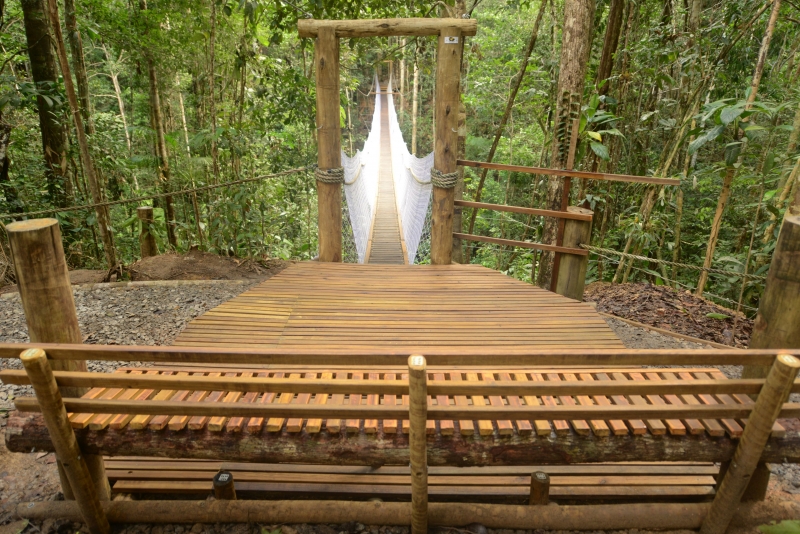 Ponte Pênsil – Dossel Brasil